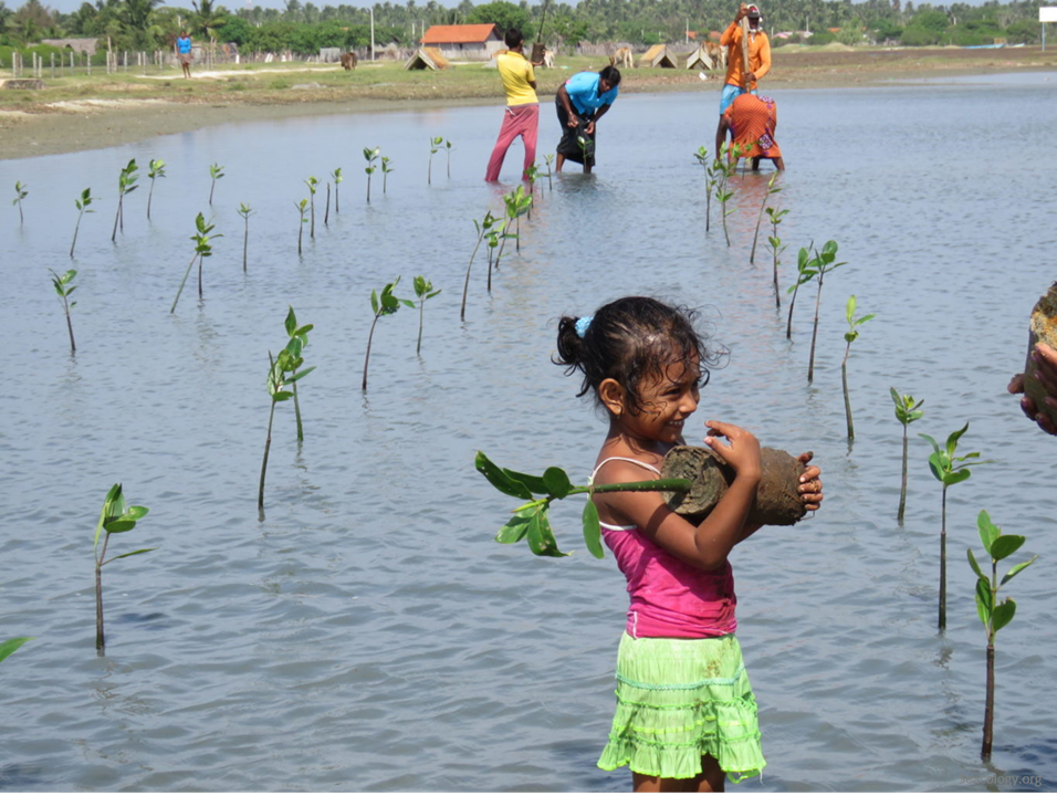 SAVE THE MANGROVES / SAVE THE OCEAN — Well/Beings