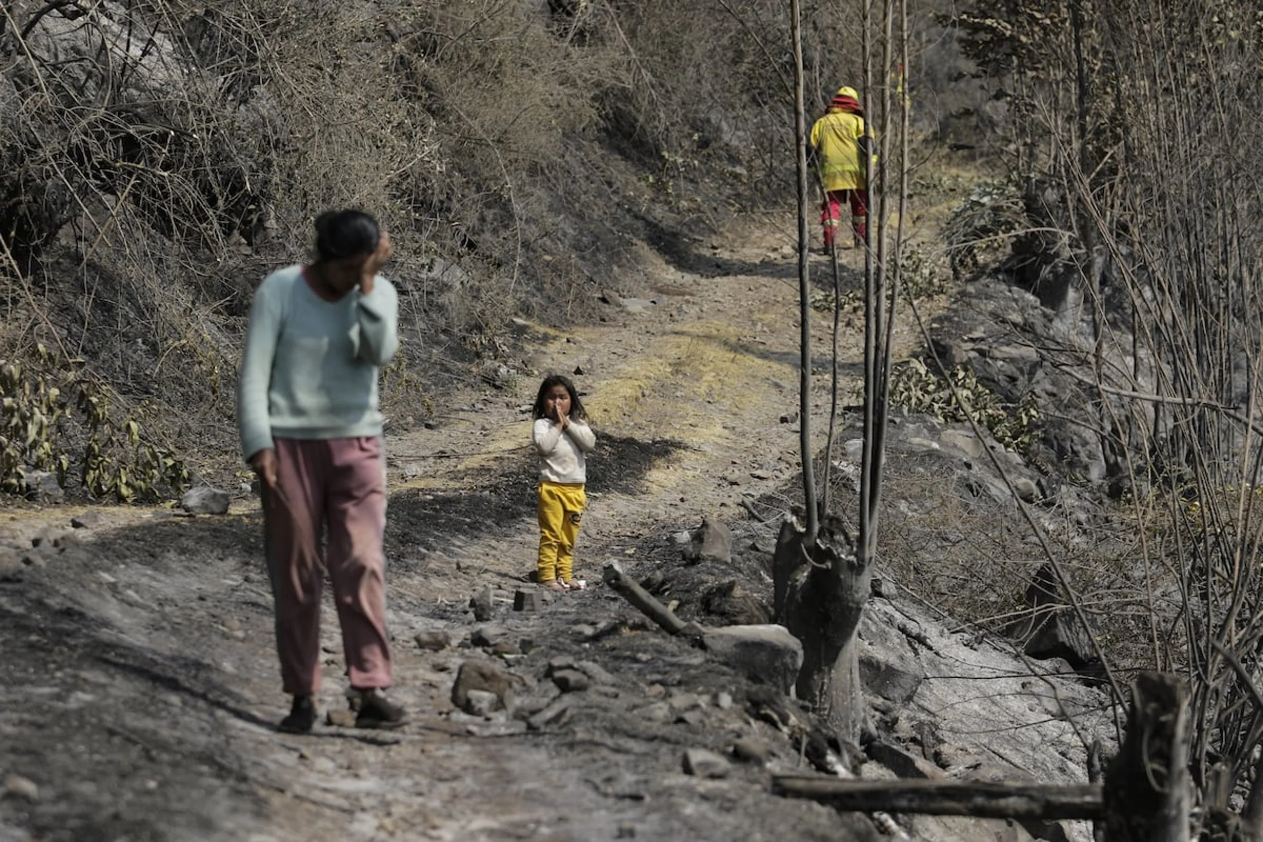 Bolivia campaign — Well/Beings