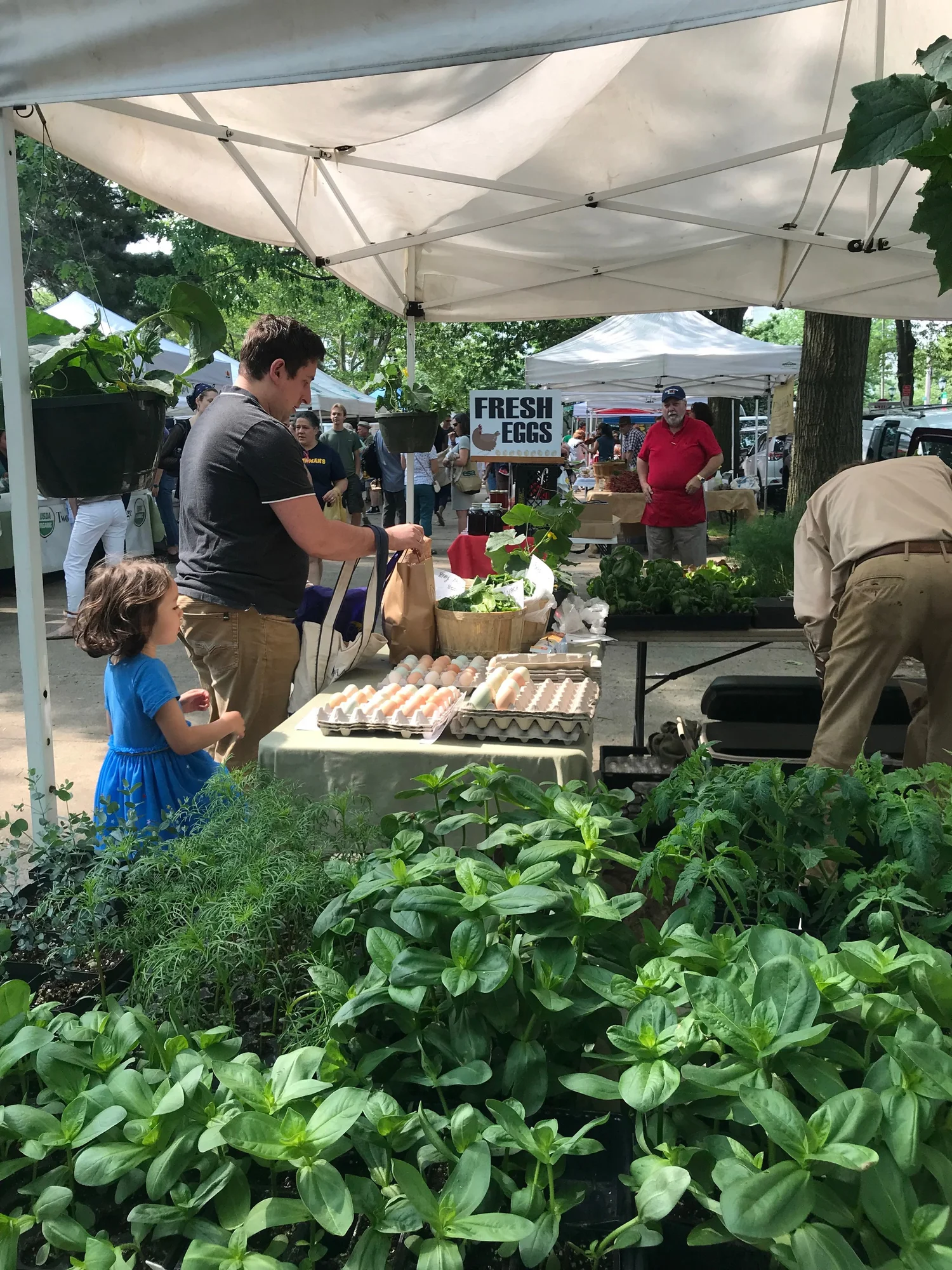 Events — Historic Wooster Square Association