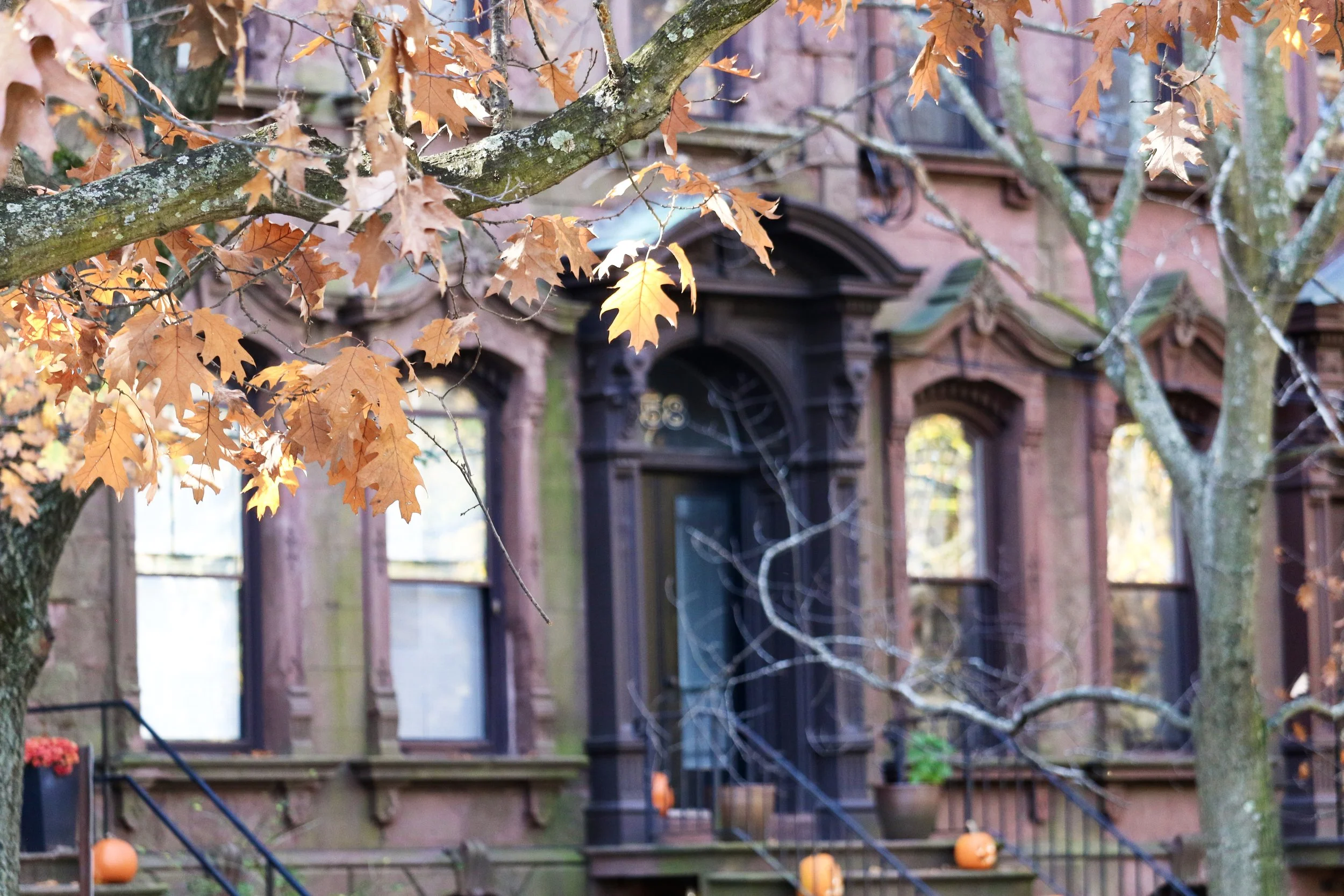 Our Neighborhood — Historic Wooster Square Association