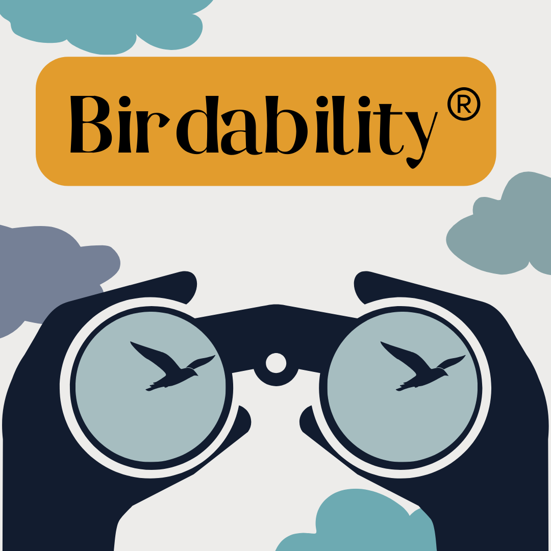 Activities & Events — Sequoia Therapeutic Recreation