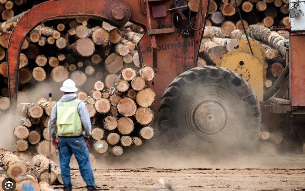 Interfor Mill Tour — Oregon Small Woodlands Association