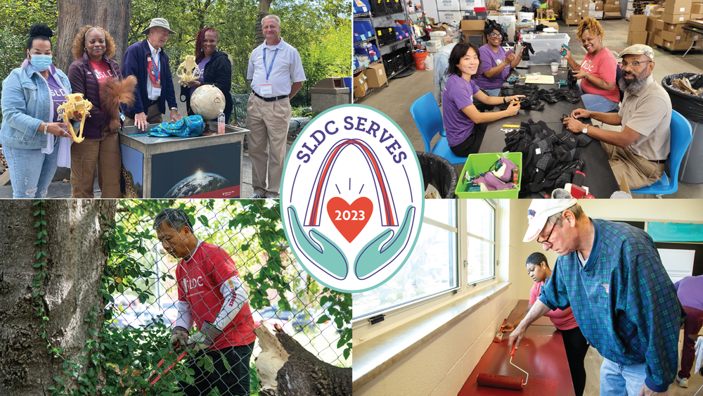 News & Media — SLDC