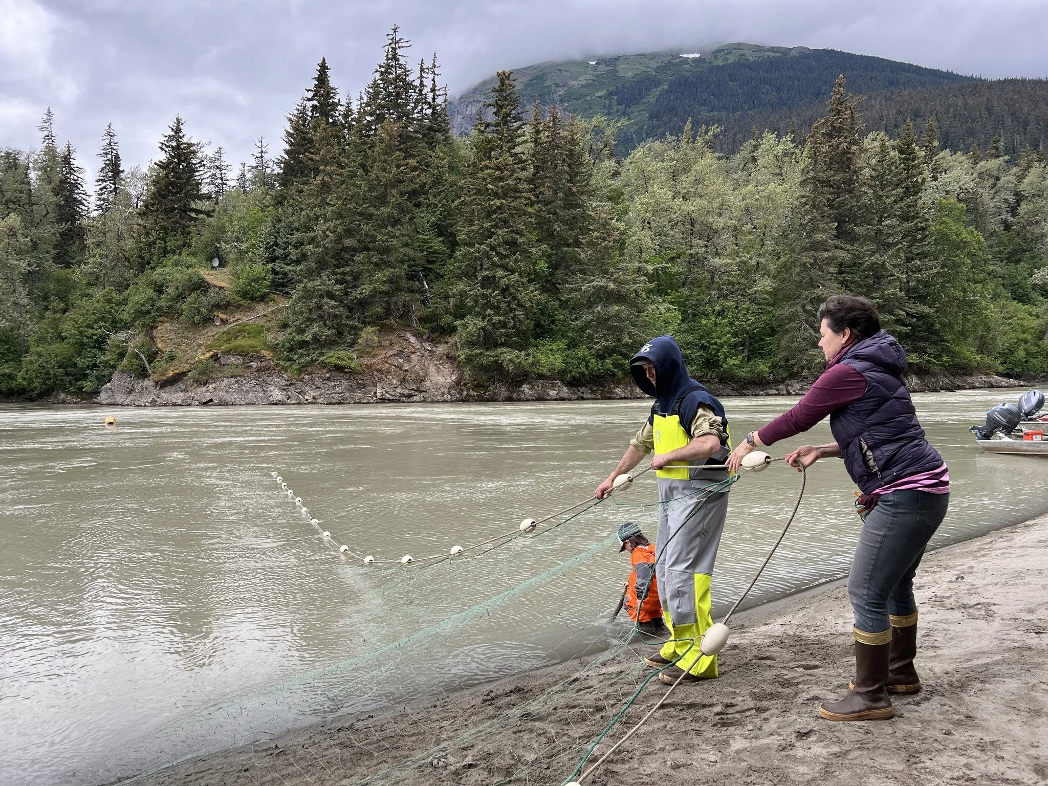 Take Action — Salmon Beyond Borders