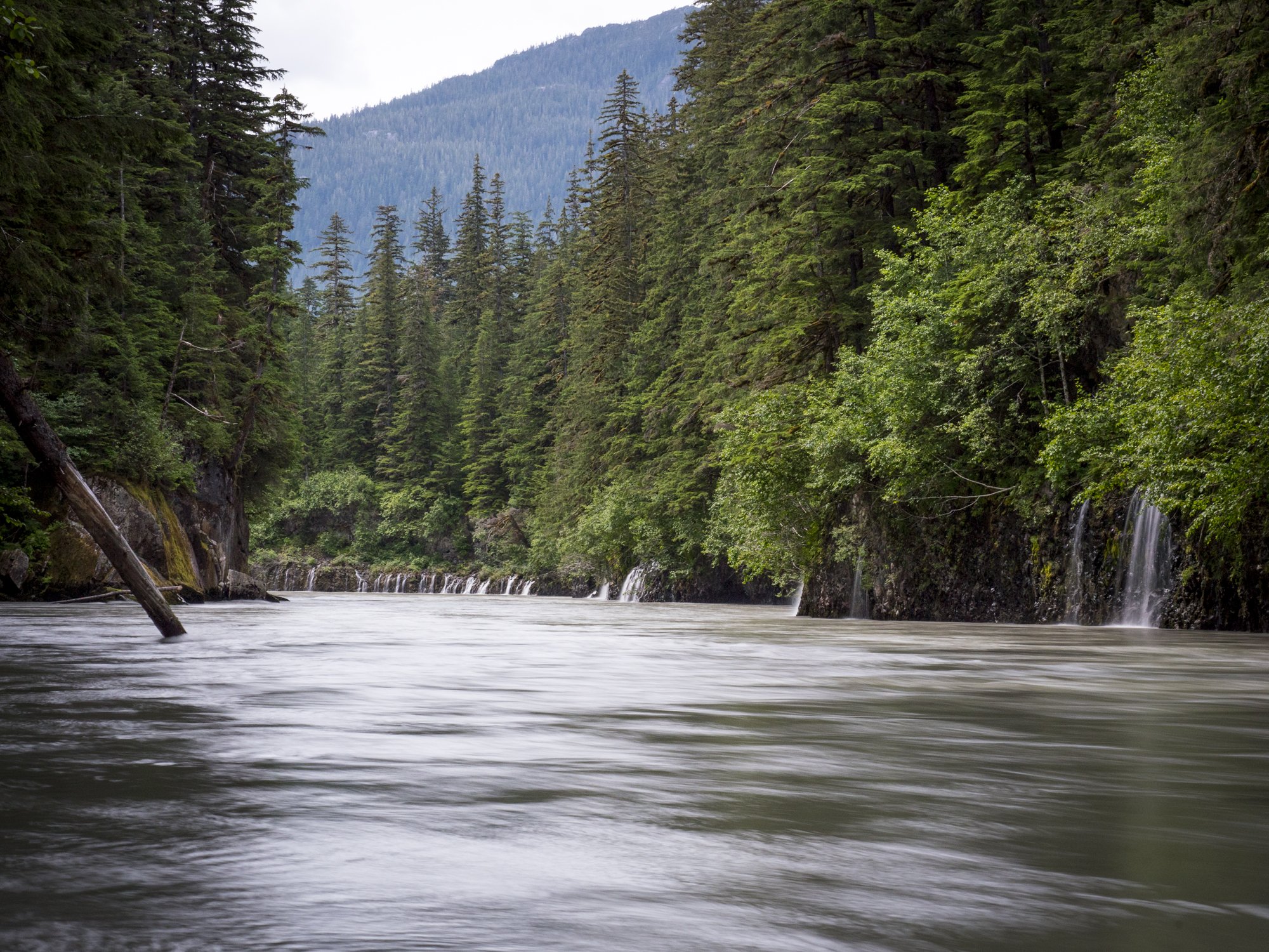 Salmon Beyond Borders