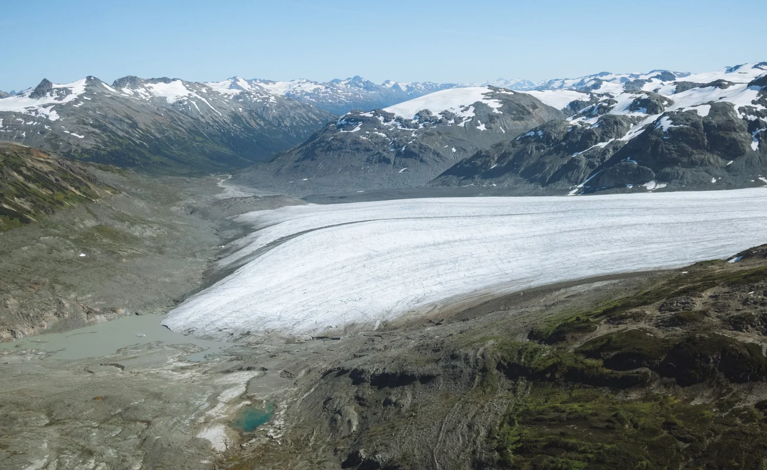 The Threat — Salmon Beyond Borders