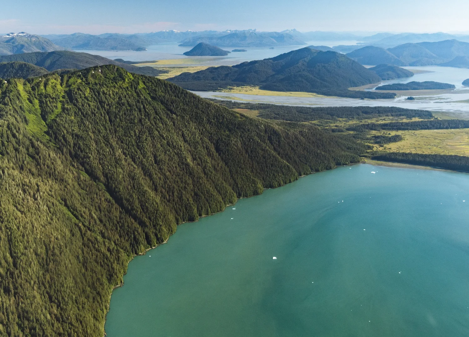 Learn more — Salmon Beyond Borders