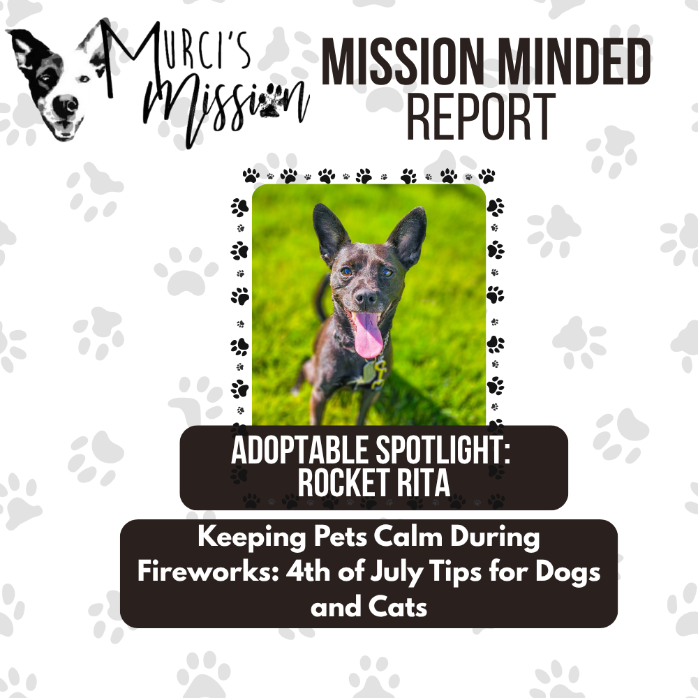 Mission-Minded-Blog — Murci's Mission Animal Rescue Inc