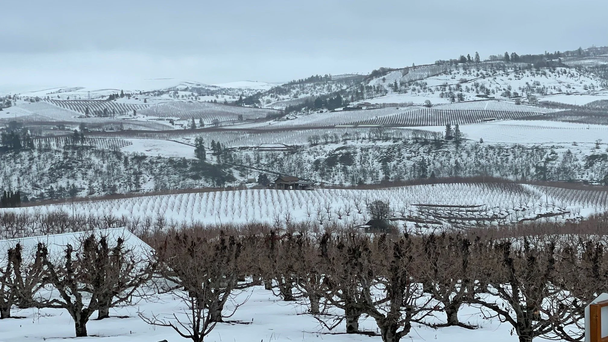 About — The Dalles Orchard House