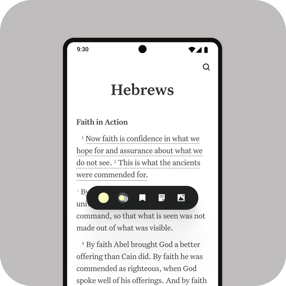 New Believer — Freshwater Church