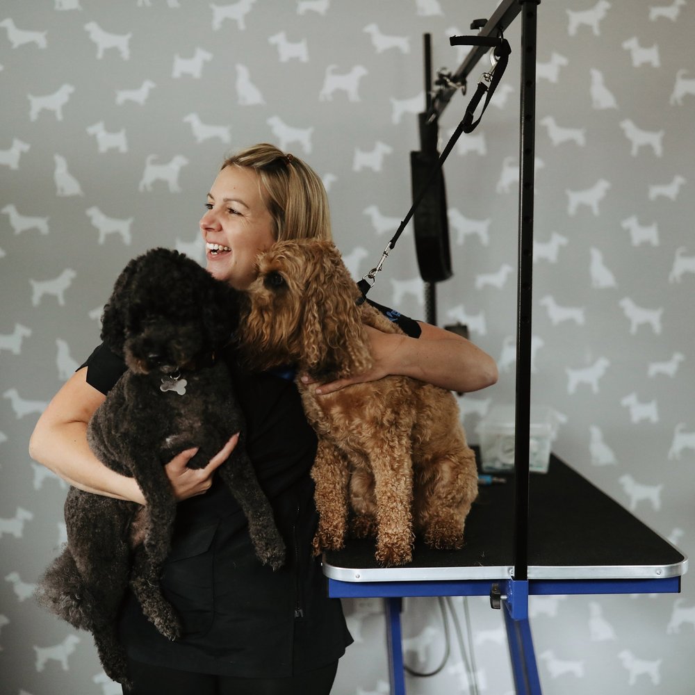 Daisy Mae's Dogs