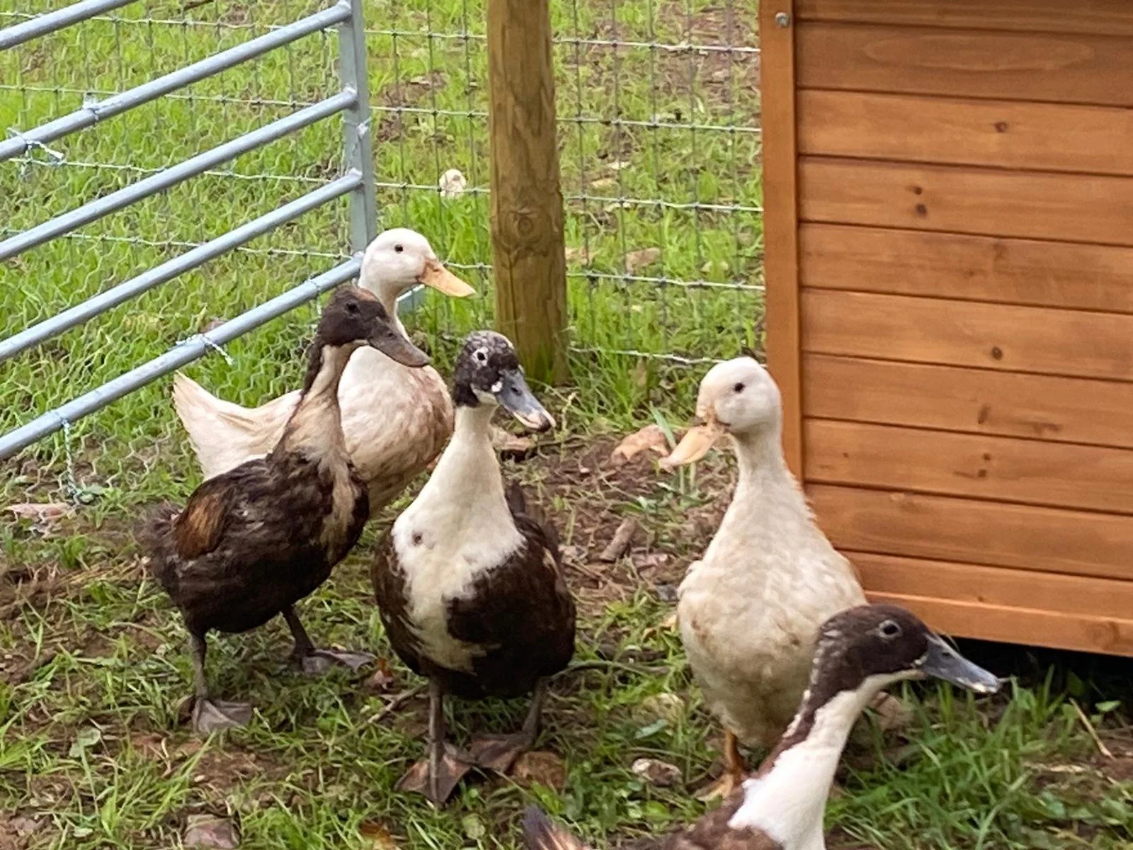 More on-site fun for kids with our new playpark — Fordmore Farm Shop