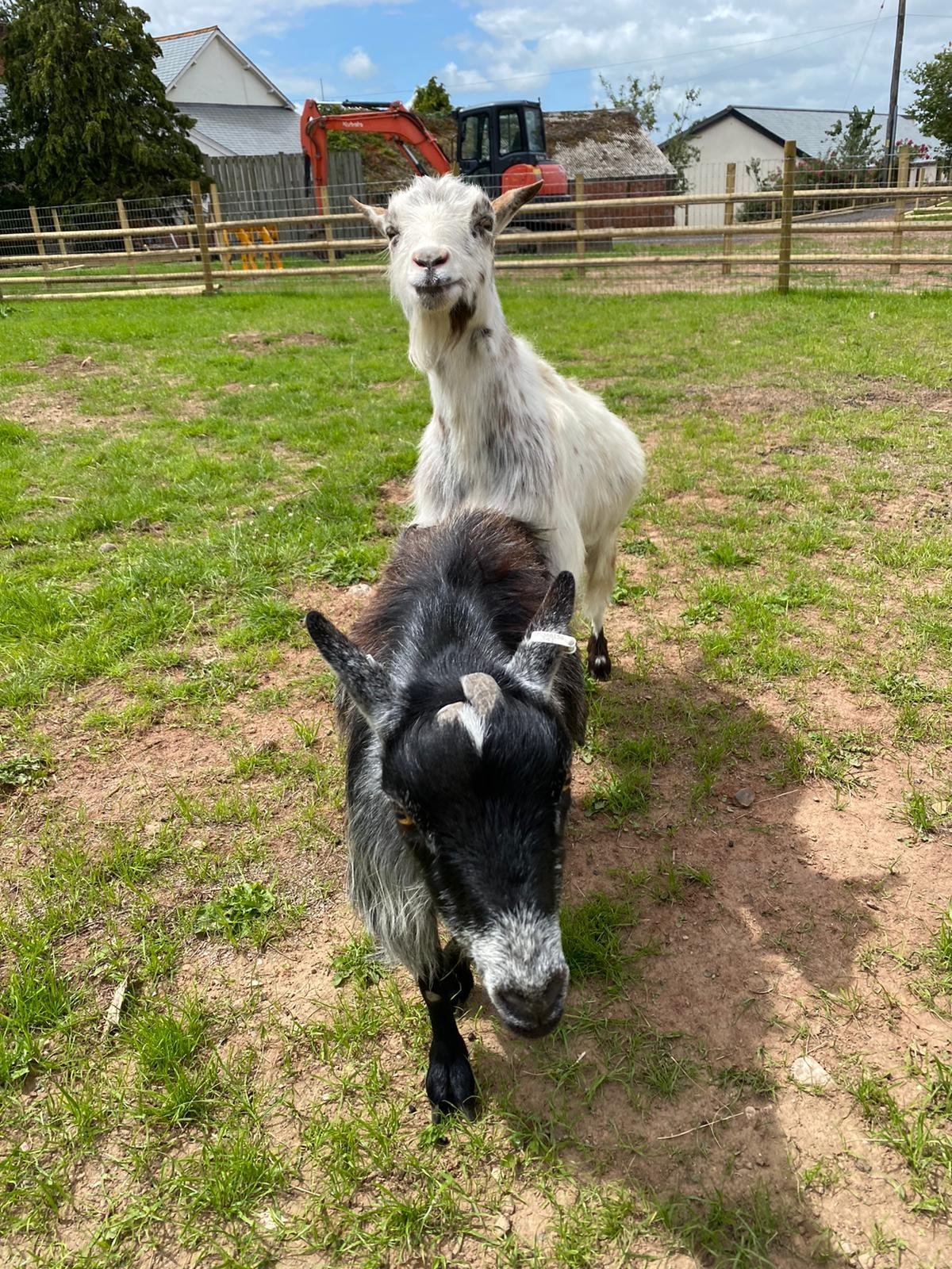 More on-site fun for kids with our new playpark — Fordmore Farm Shop