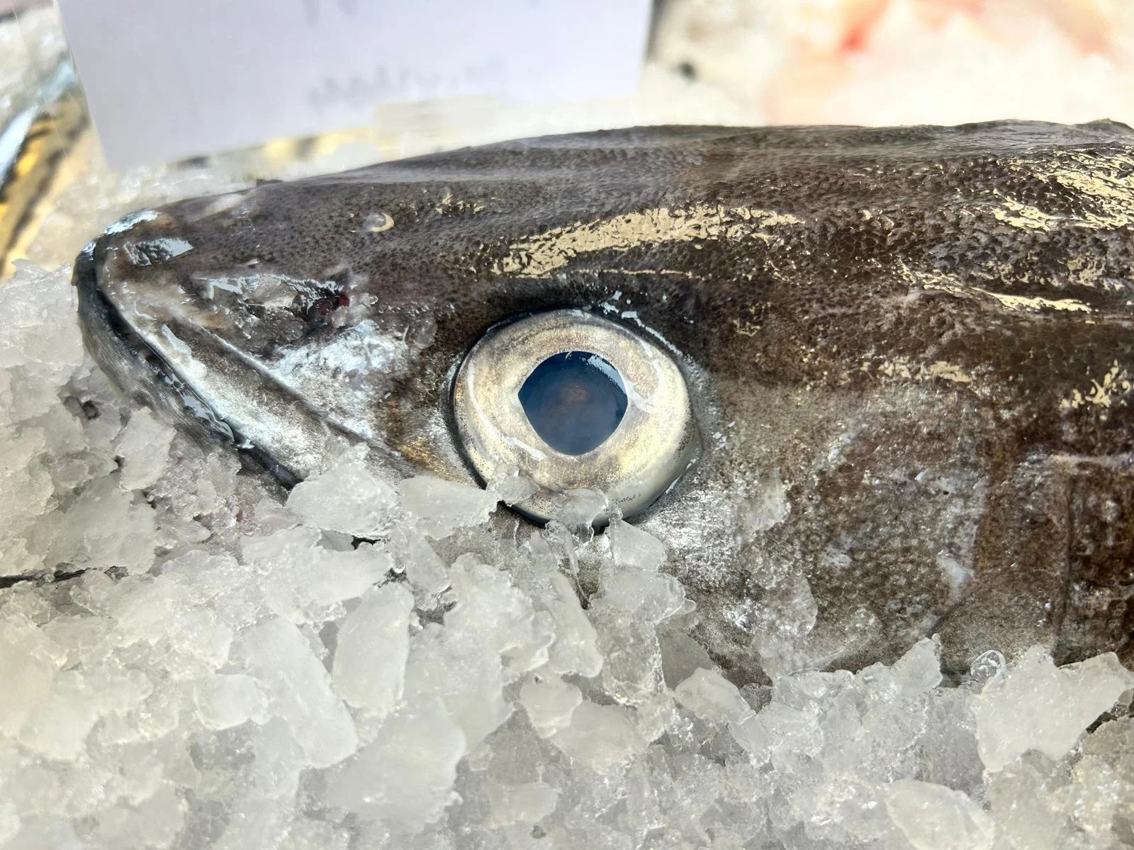 Fish — Fordmore Farm Shop