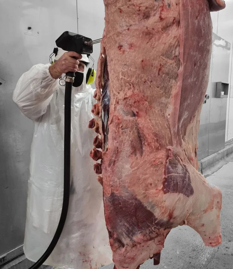 Beef — MEQ Solutions