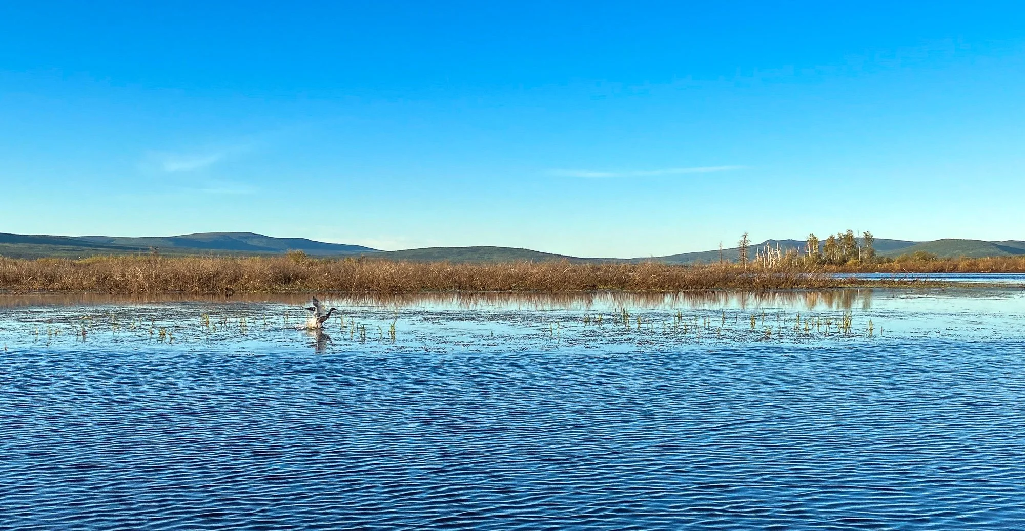 About Us — Benhti Economic Development Corporation