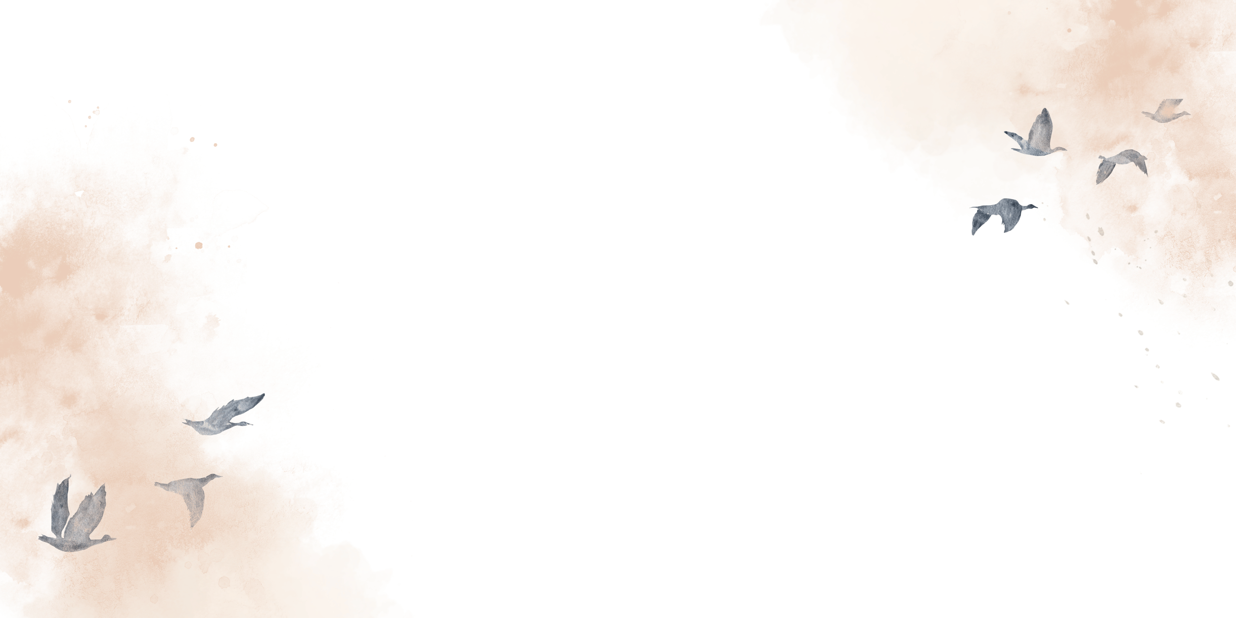 ABOUT JODI | Movement Works PDX