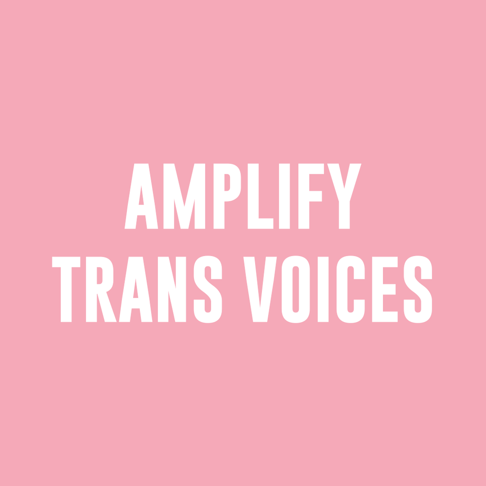 ALLIES — Trans in the City