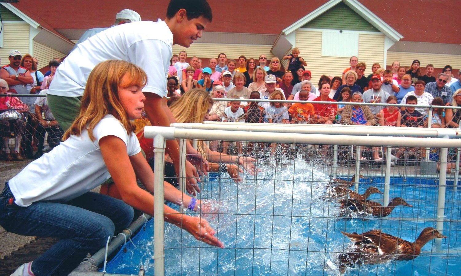 Great American Duck Race