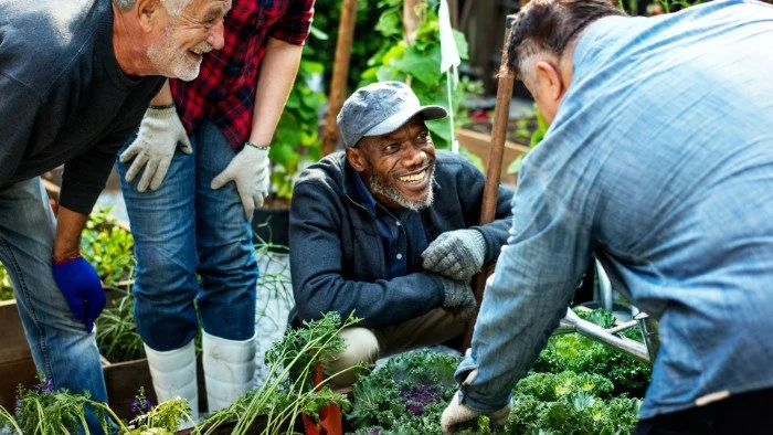 Food Security: The Challenges and Pathways to Improvement | Eden Green