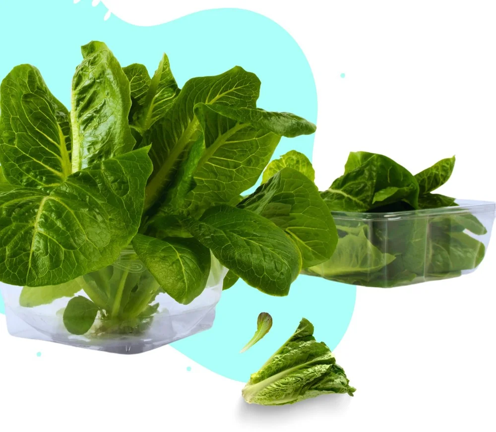 Order Hydroponic Romaine Lettuce & Mixes | Eden Green