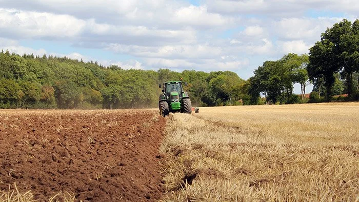 Environmental Impact of Traditional Farming: 5 Effects | Eden Green