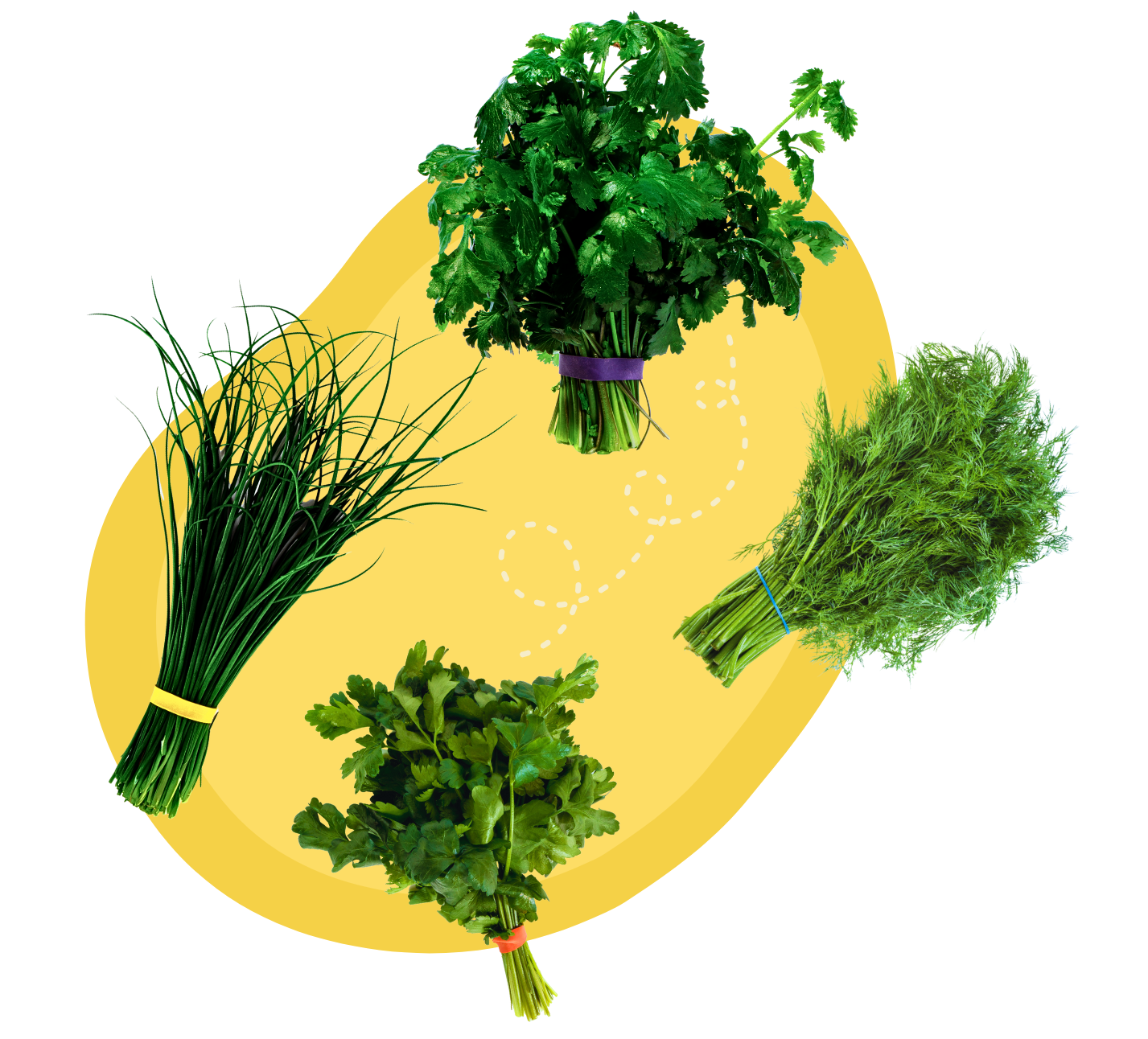 Hydroponic Produce - Leafy Greens, Herbs, & More | Eden Green