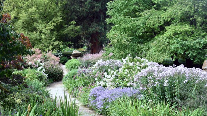 What Are the Planting Zones? A Guide to USDA Hardiness Zones | Eden Green