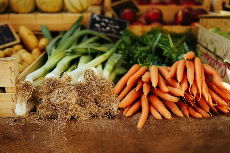 How to Prepare for a Global Food Shortage (2025) | Eden Green