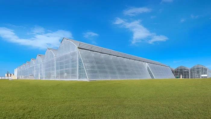 Vertical Farming vs. Greenhouse Farming: Key Differences | Eden Green