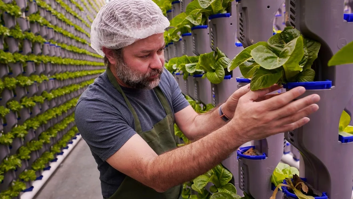 Indoor Farming: Sustainable Agriculture's Future | Eden Green