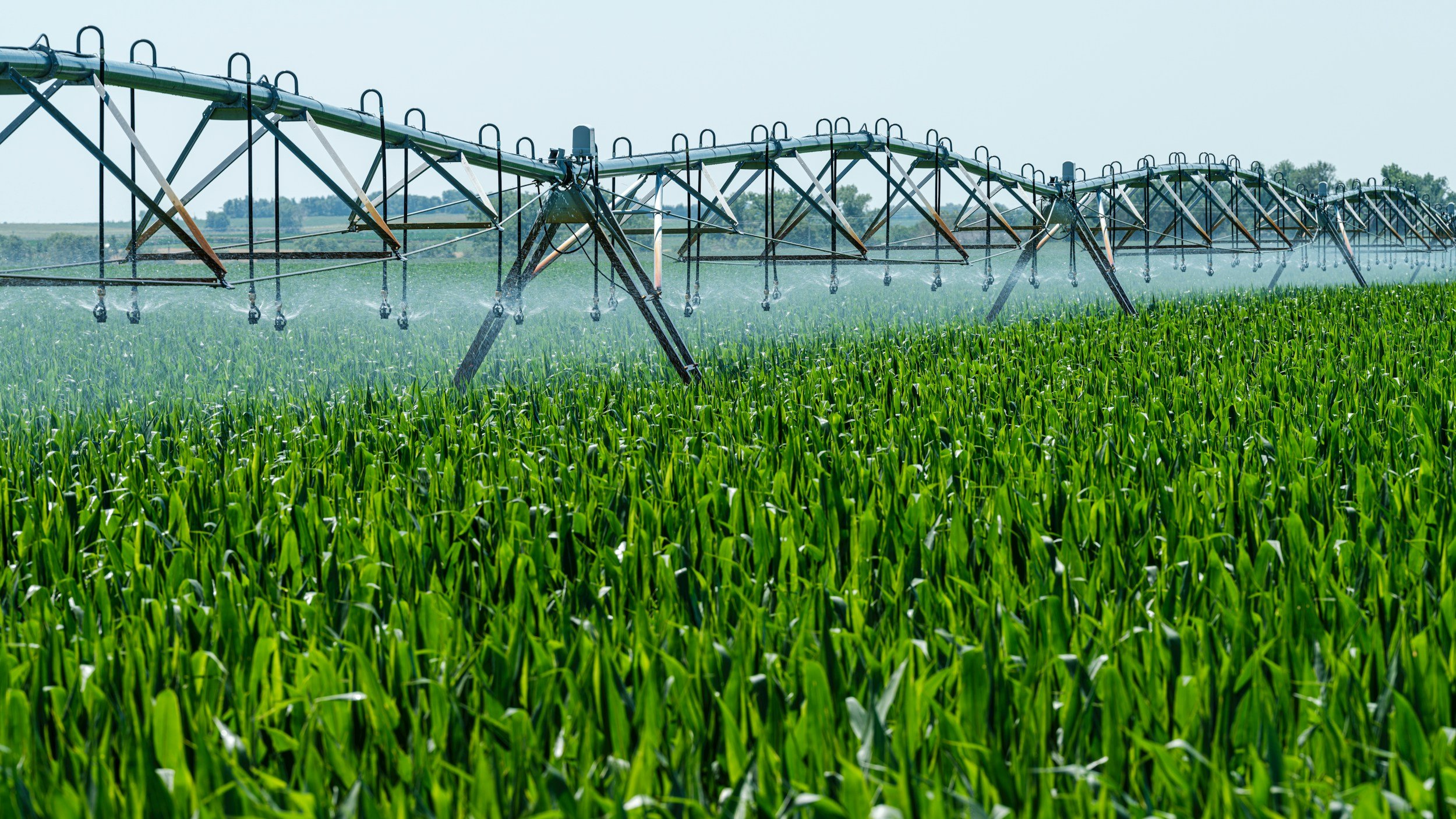 Agricultural Water Use: Traditional vs Vertical Farms | Eden Green