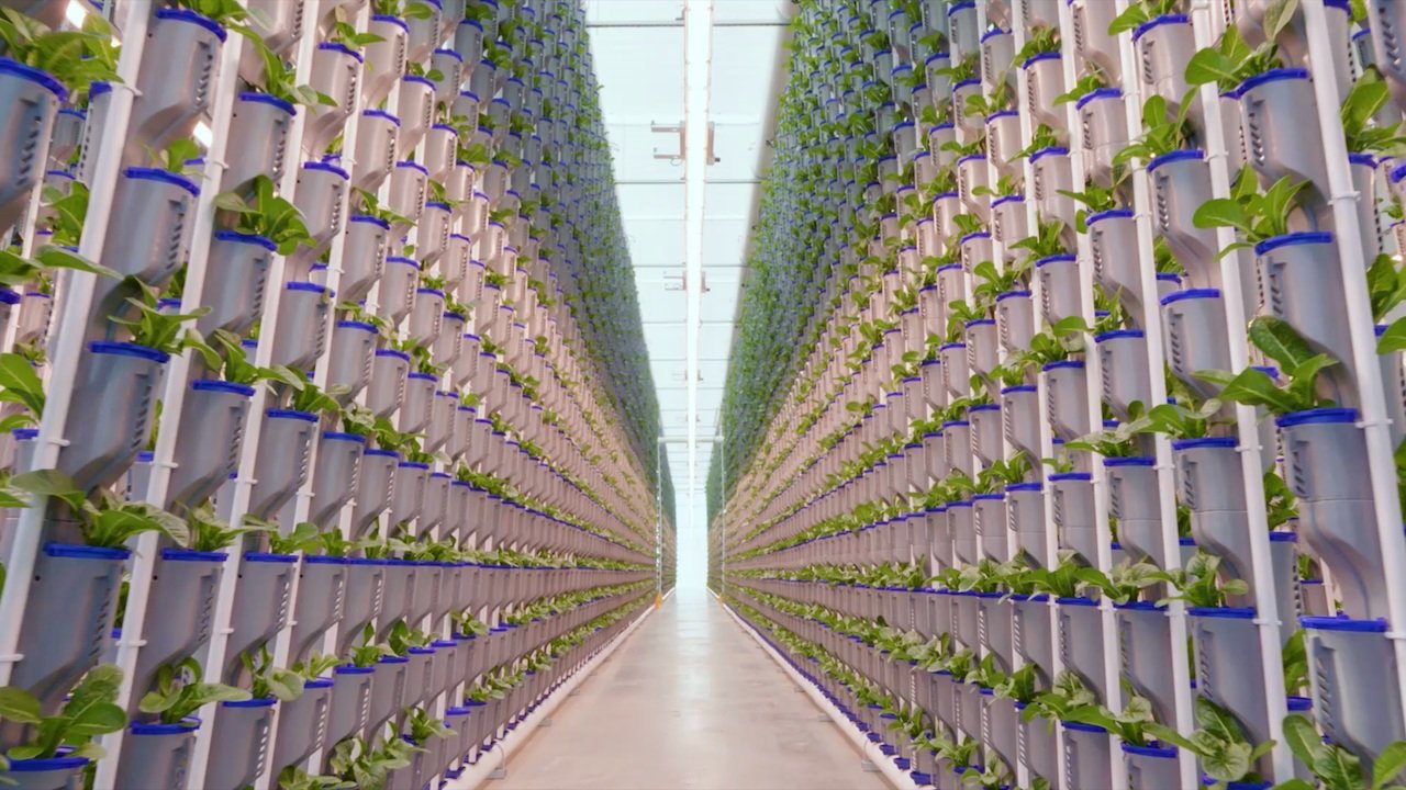 Eden Green | Vertical Greenhouses & Hydroponic Produce