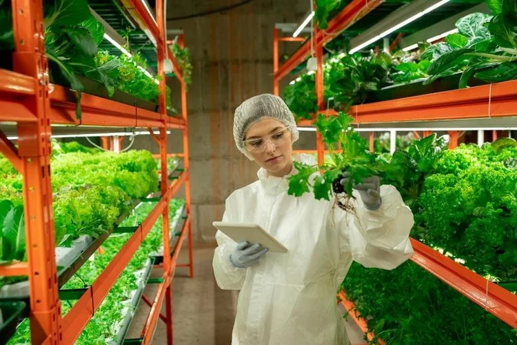What Is Non-GMO? Inside the Next Trend in Global Farming | Eden Green