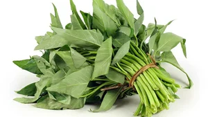 Top 10 Asian Greens & Vegetables | Complete Guide | Eden Green