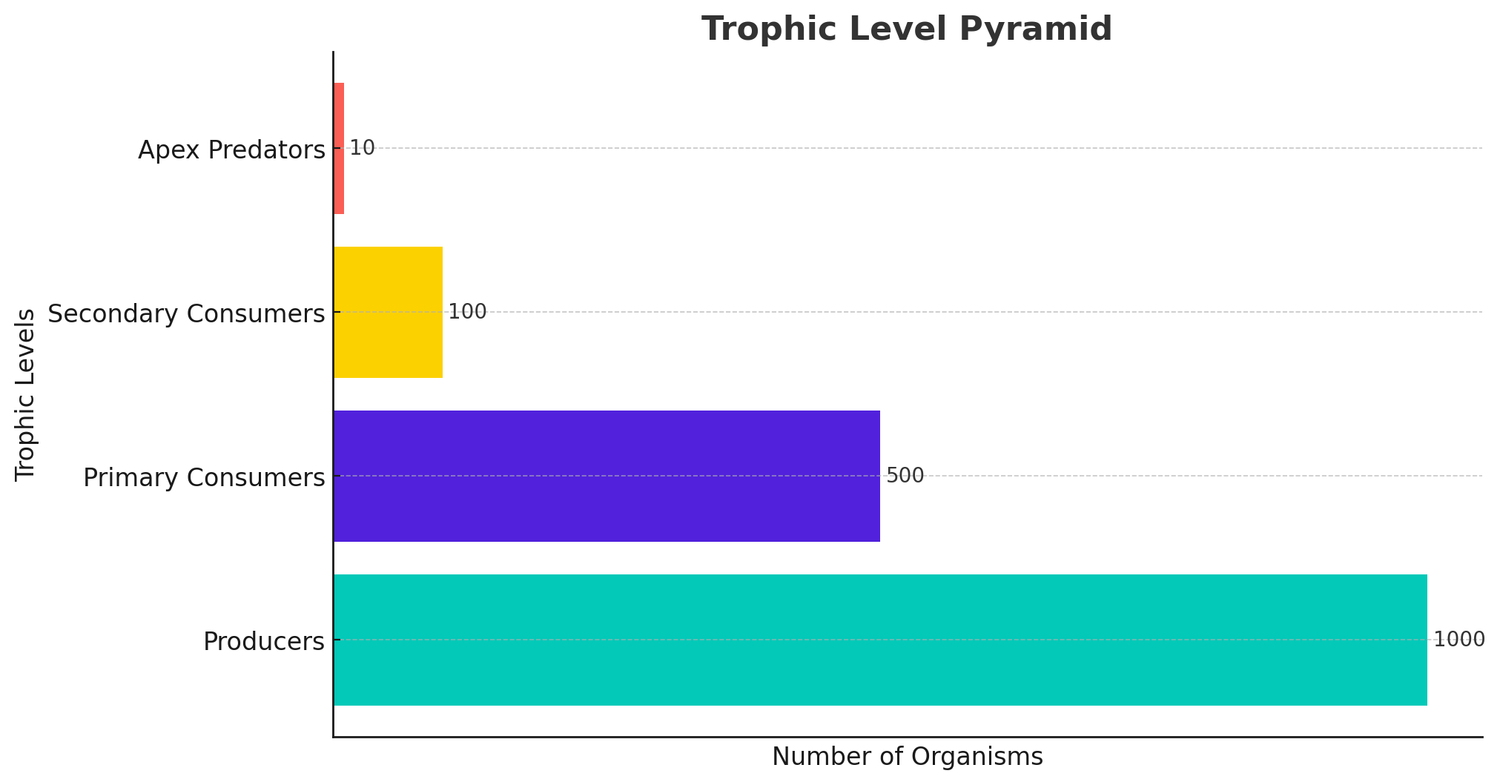 Food Webs: Types, Importance, & Examples | Eden Green