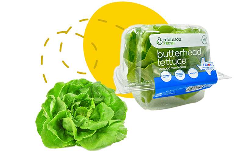 Hydroponic Butterhead Lettuce & Lettuce Mixes | Eden Green