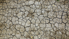 Soil Erosion and Degradation: Causes, Impacts, and Solutions | Eden Green