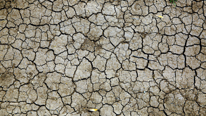 Soil Erosion and Degradation: Causes, Impacts, and Solutions | Eden Green