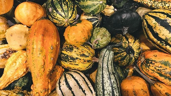 8 Fruits You Think Are Vegetables: Botanical vs Culinary | Eden Green