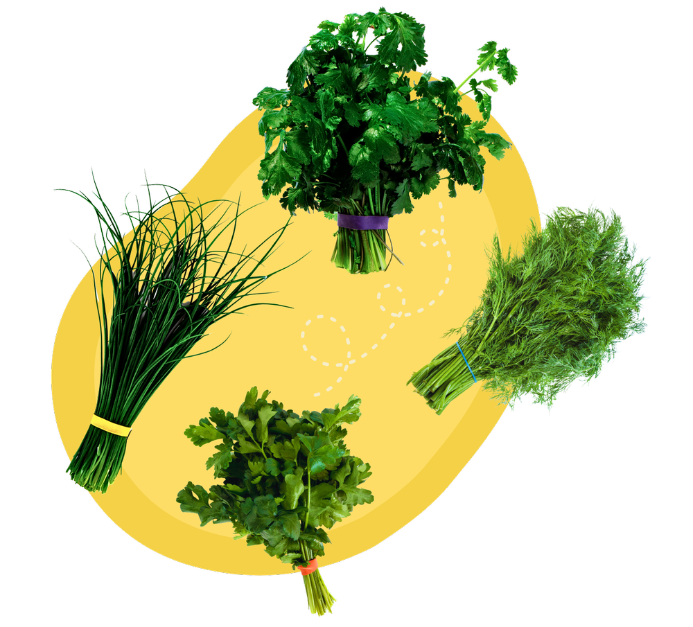 Custom Produce Processing | Hydroponic Greens & Herbs | Eden Green