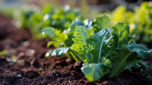 Food Miles Explained: Definition, Case Study, and Data | Eden Green