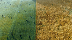 Soil Erosion and Degradation: Causes, Impacts, and Solutions | Eden Green
