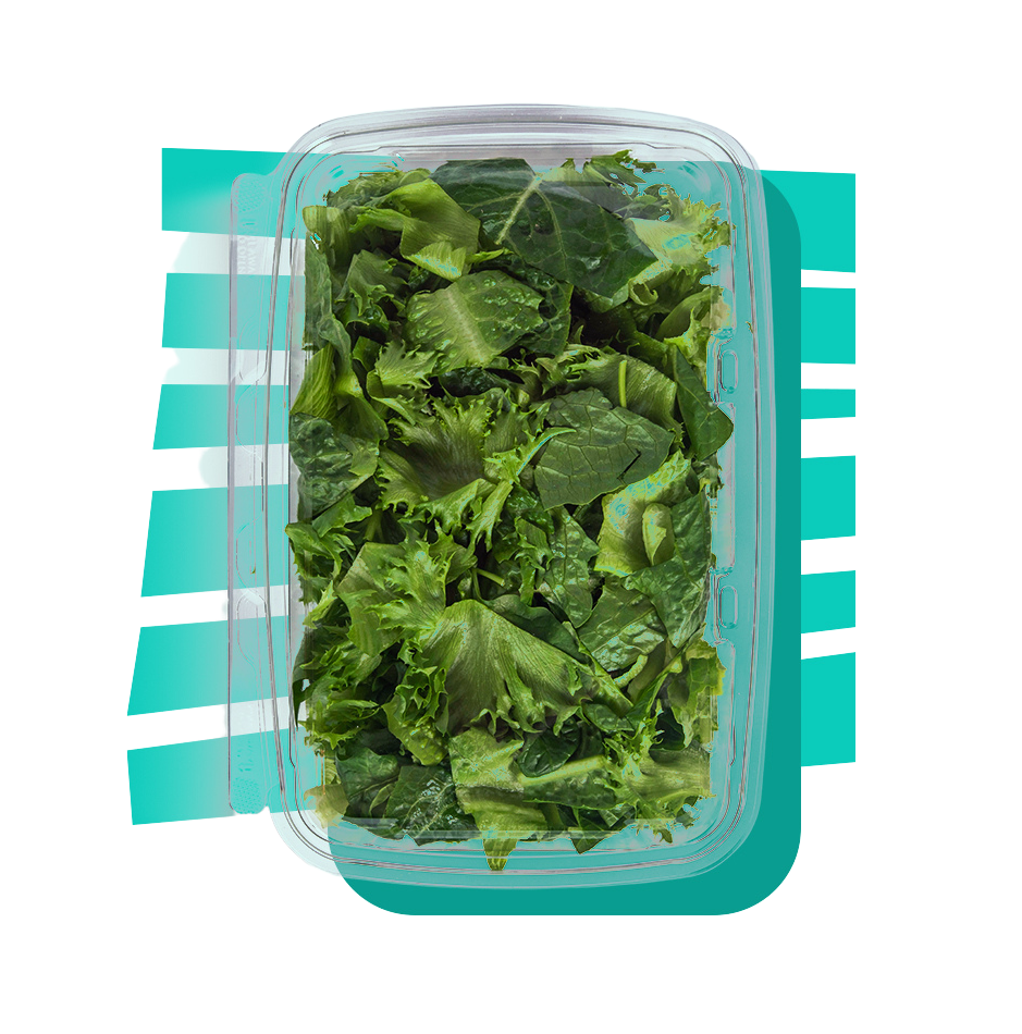 Order Hydroponic Romaine Lettuce & Mixes | Eden Green