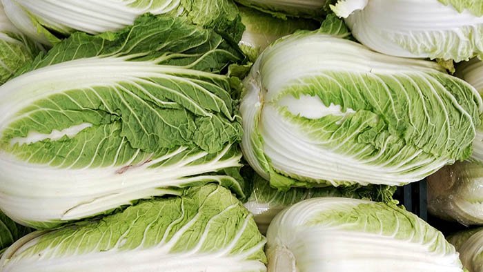 Top 10 Asian Greens & Vegetables | Complete Guide | Eden Green