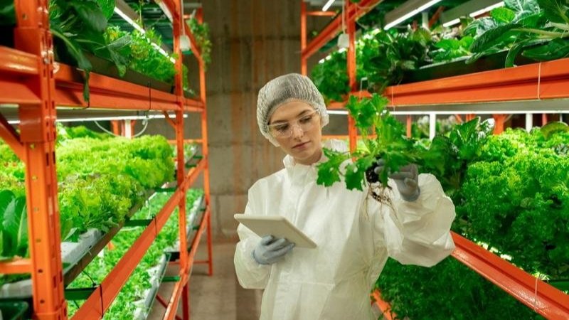 What is Agribusiness? Definition, Examples, & Challenges | Eden Green