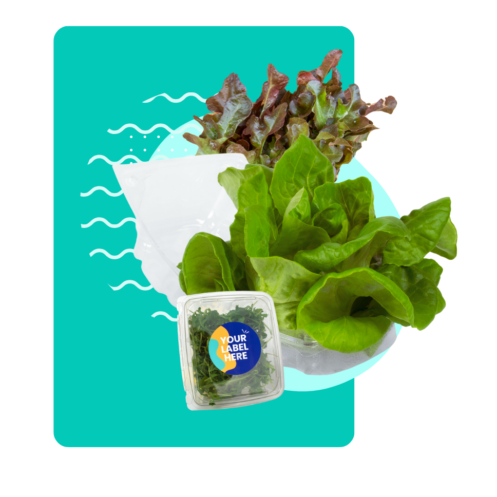 Hydroponic Lettuce & Salad Greens | White Labeled | Eden Green