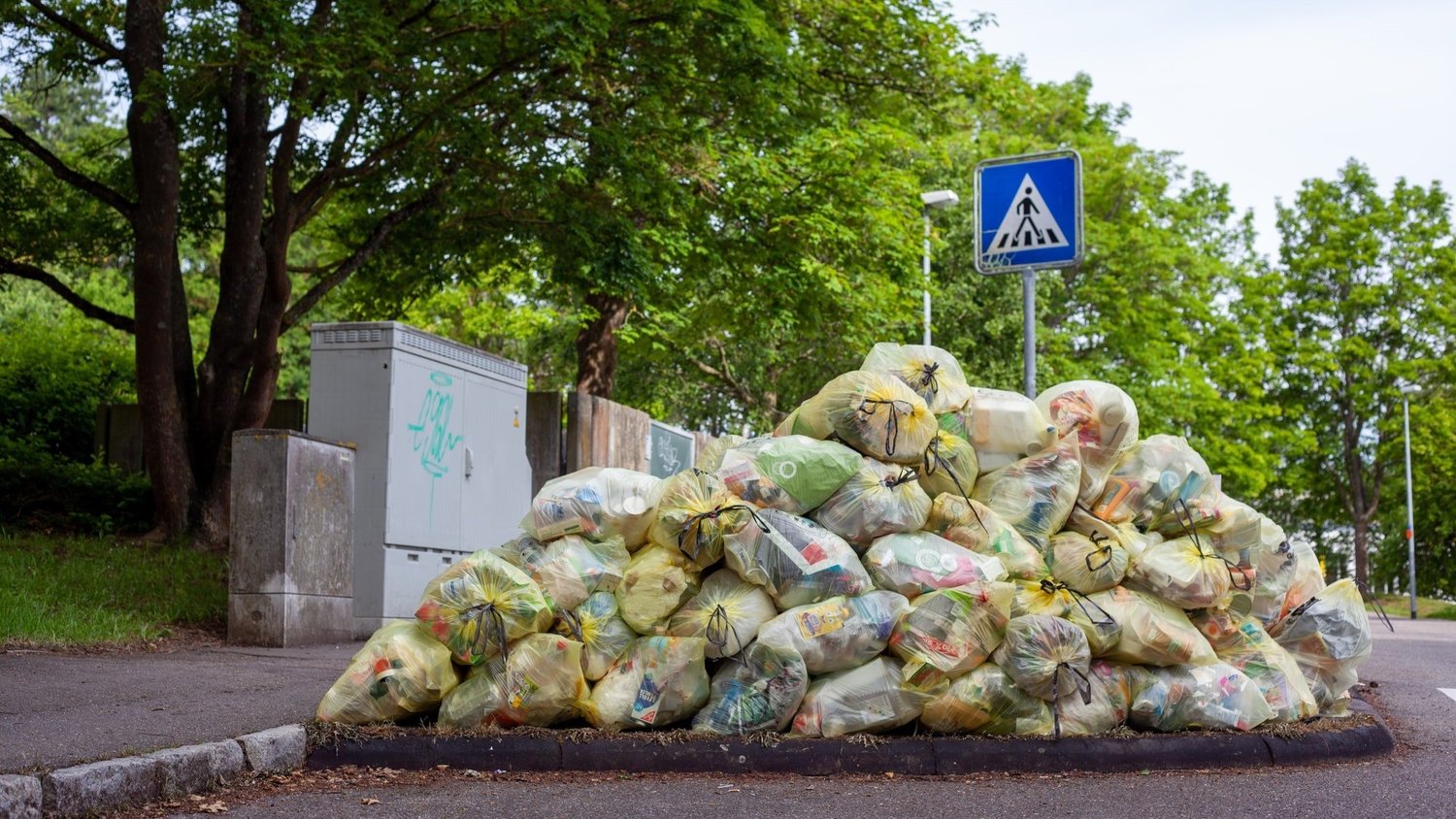 The Biggest Environmental Problems of 2025 | Eden Green