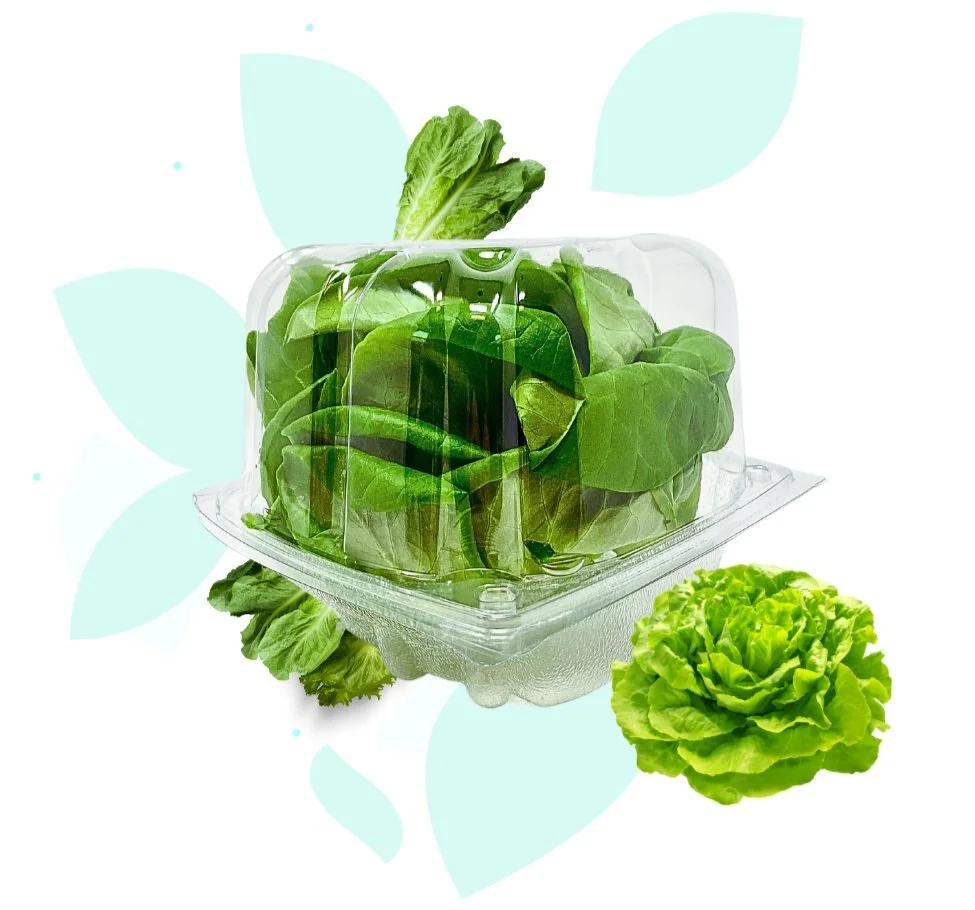 Hydroponic Butterhead Lettuce & Lettuce Mixes | Eden Green