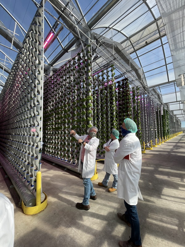 Our Mission | Sustainability through Vertical Farming | Eden Green